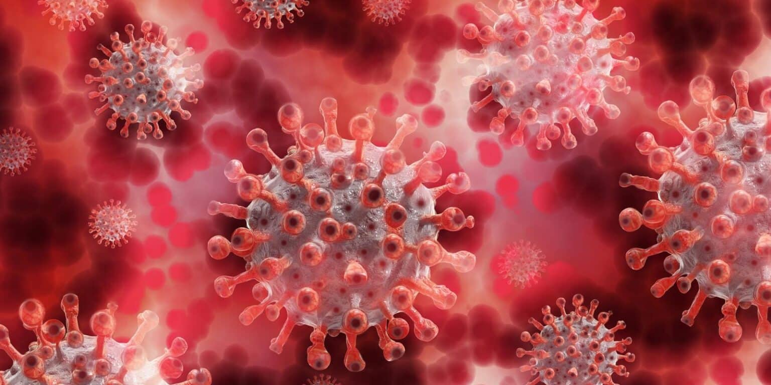 What Vaccinations Do You Need For A Trip To Morocco?2025